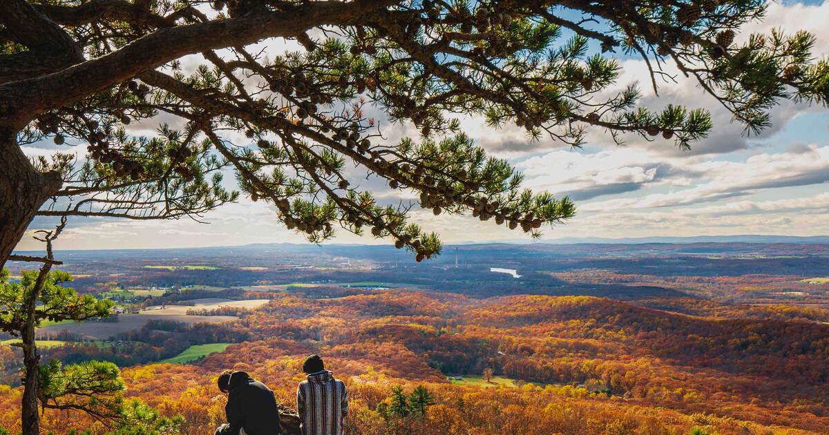 Top Things To Do in Clarksville, MD: A Local's Guide